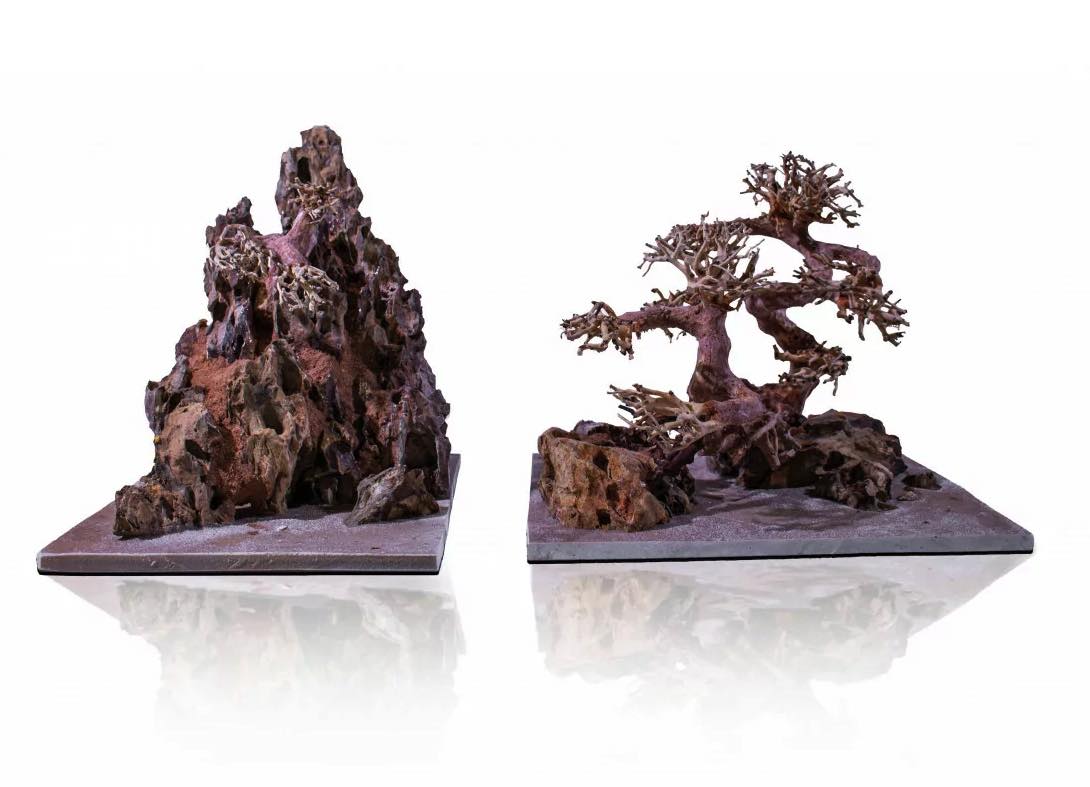 Aquascape Landscape Bonsai | Zoo Roco