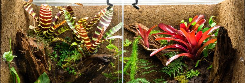 Terrarium Shop für Terrarien | Terraristik Shop | Zoo Roco